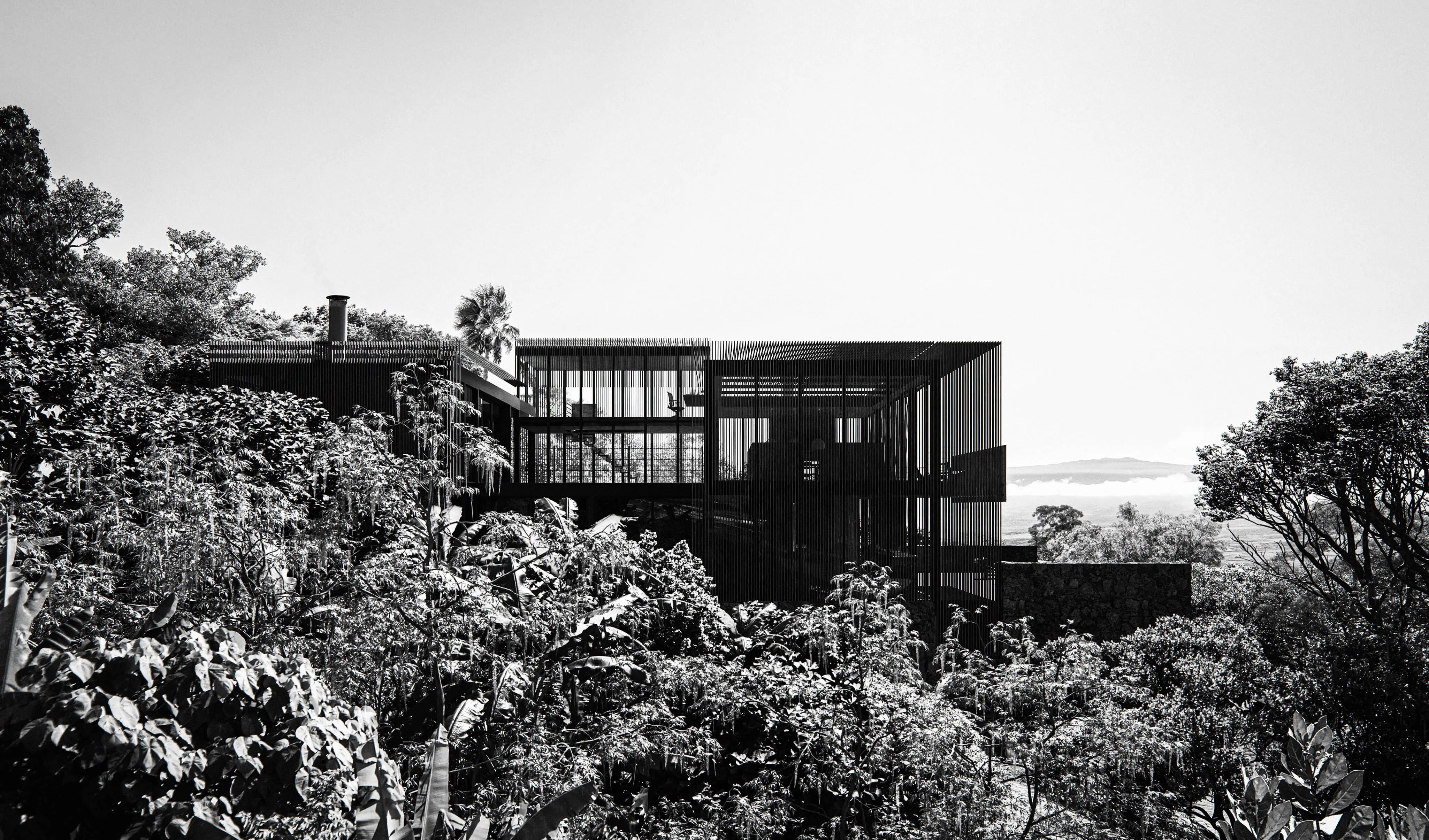 Puuki House - Ansel Adams